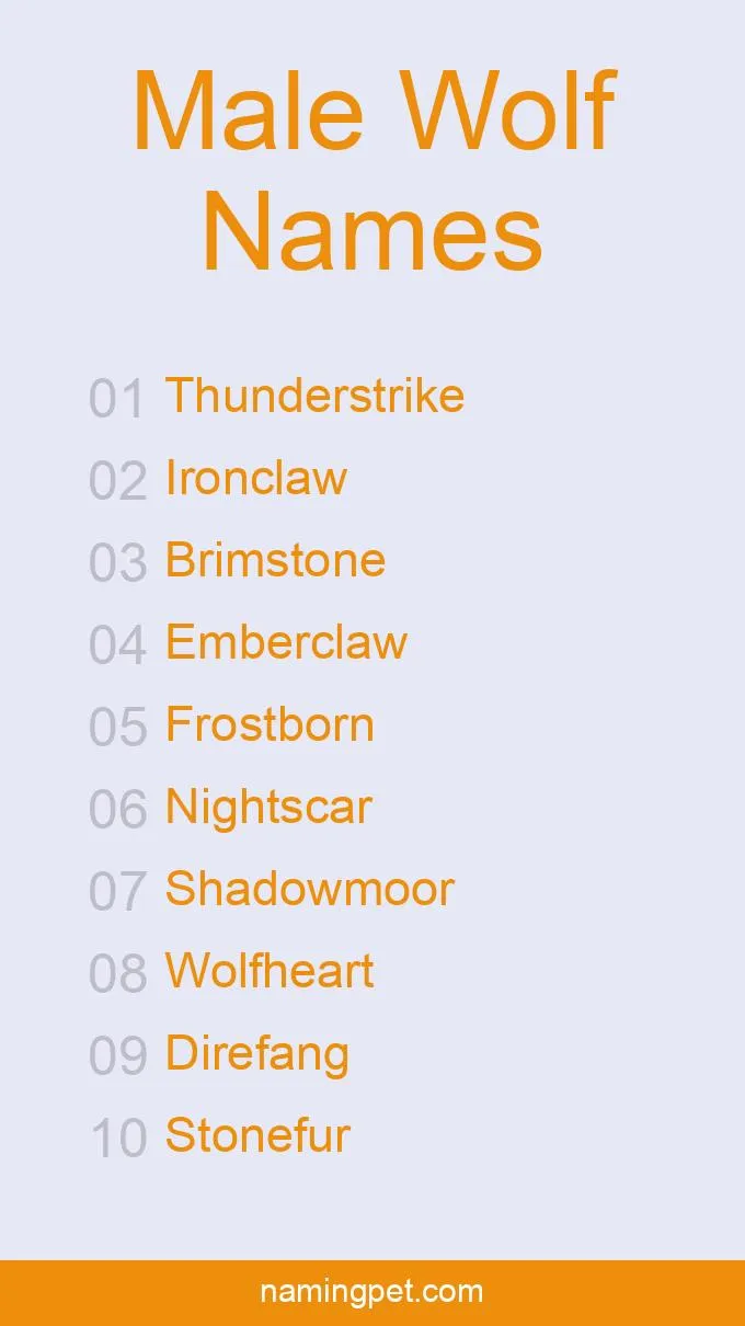 350 Wolf Names That Will Blow Your Mind NamingPet